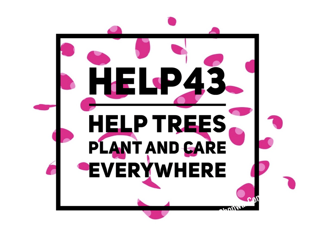 Help for trees | PLANT trees & CARE for them EVERYWHERE